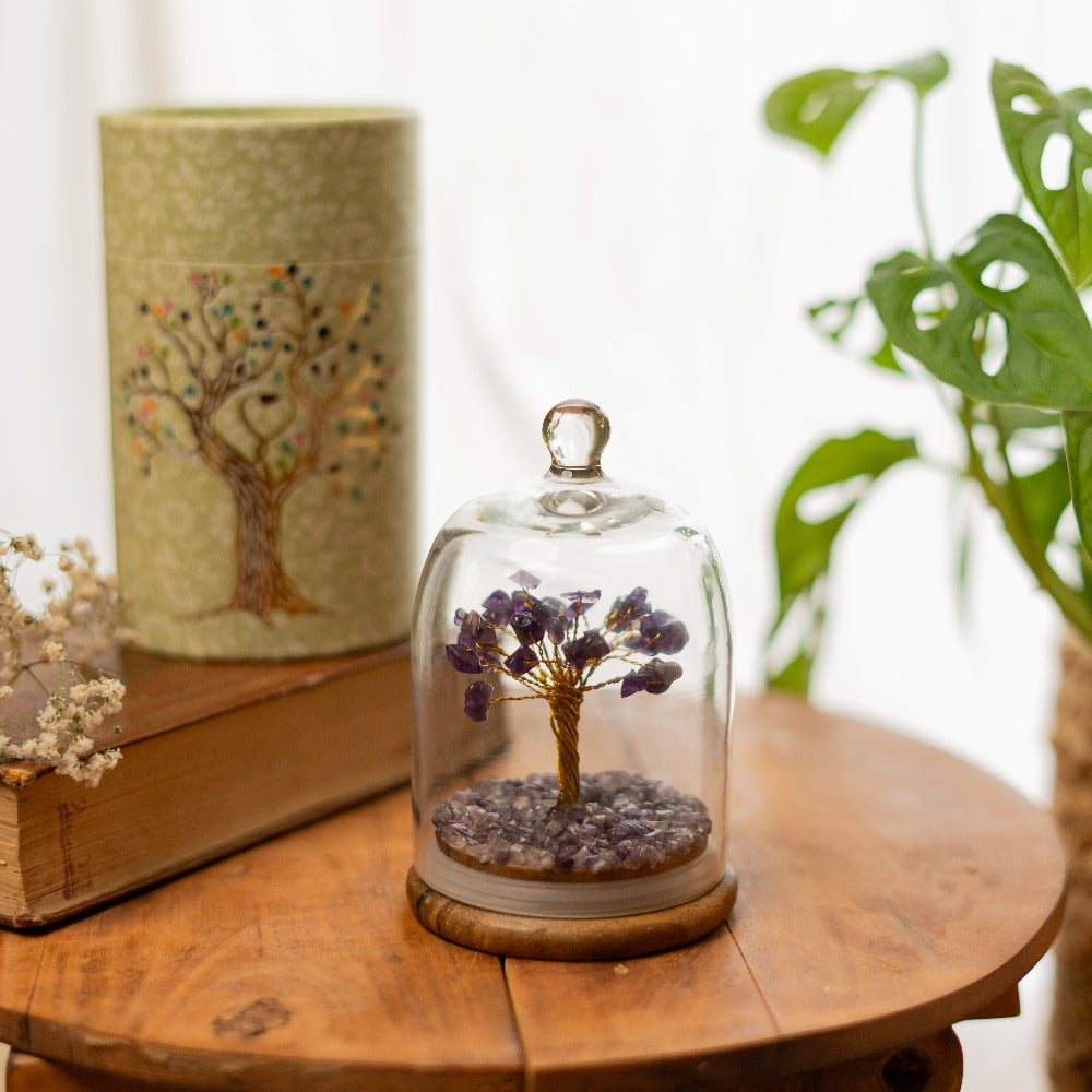 Buy 7 Chakra Crystal tree in Glass dome and Gift Box | Healing Crystals ...